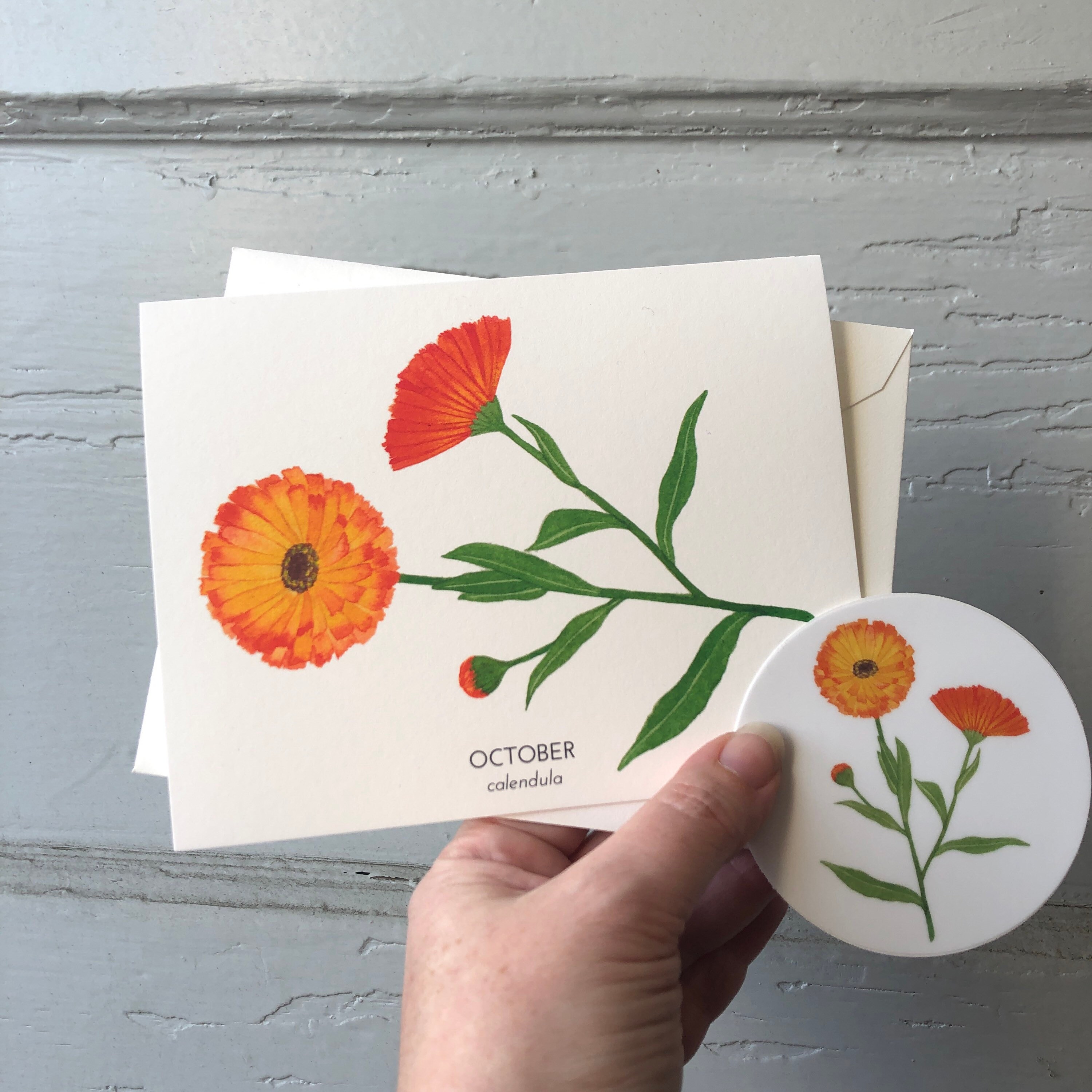 October Birth Flower Calendula