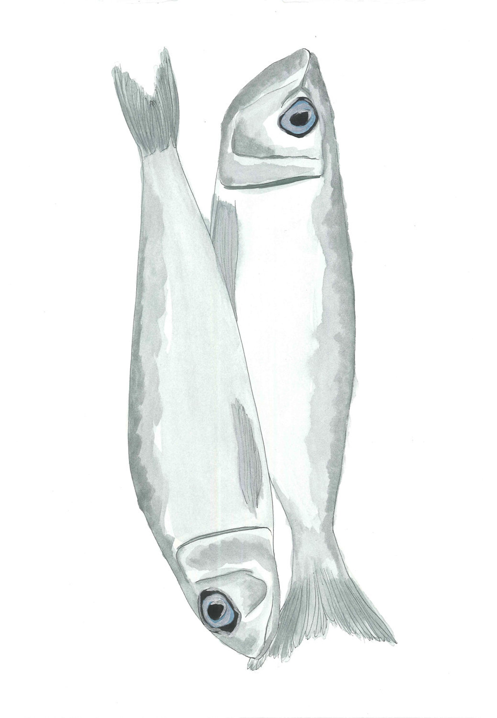 Slippery Original Ink and Watercolor Drawing Painting - Etsy