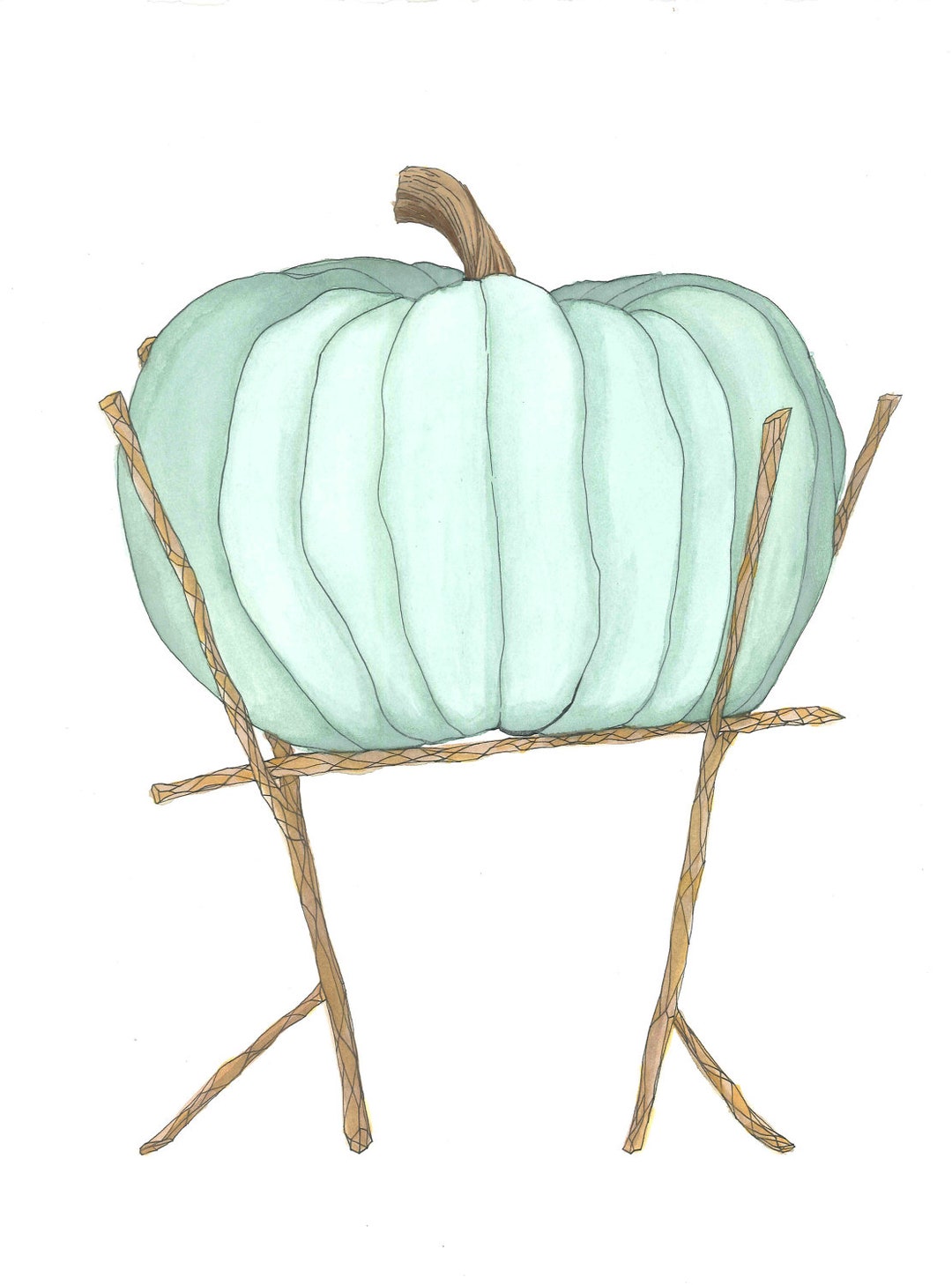 Squash - Original Ink and Watercolor Drawing, Painting, Illustration - Etsy