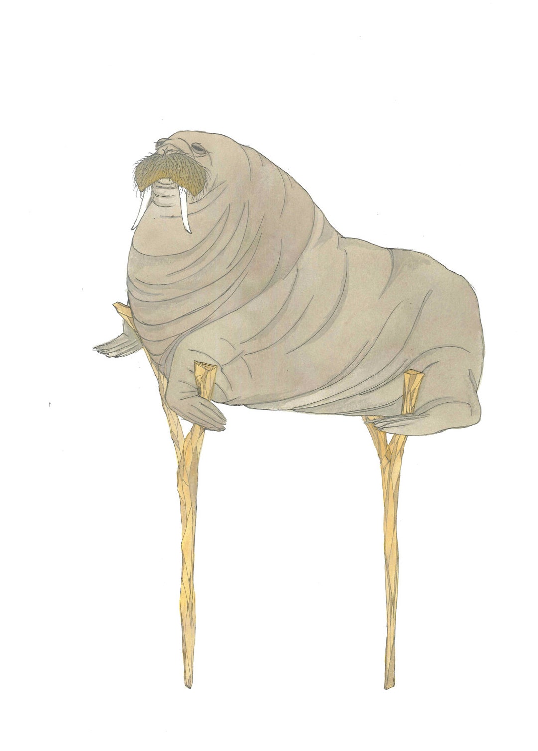 The Regal Walrus - Original Ink and Watercolor Drawing, Painting ...
