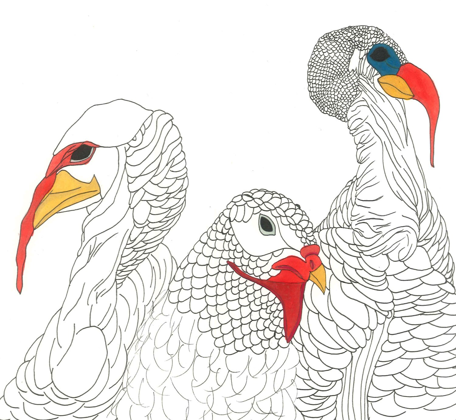 Turkey - Original Ink and Watercolor Drawing, Illustration - Etsy