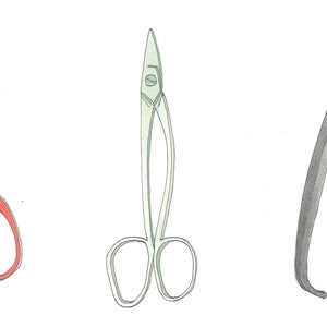 Snips - Original Ink and Watercolor Drawing, Painting, Illustration - Etsy