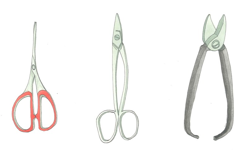 Snips - Original Ink and Watercolor Drawing, Painting, Illustration - Etsy