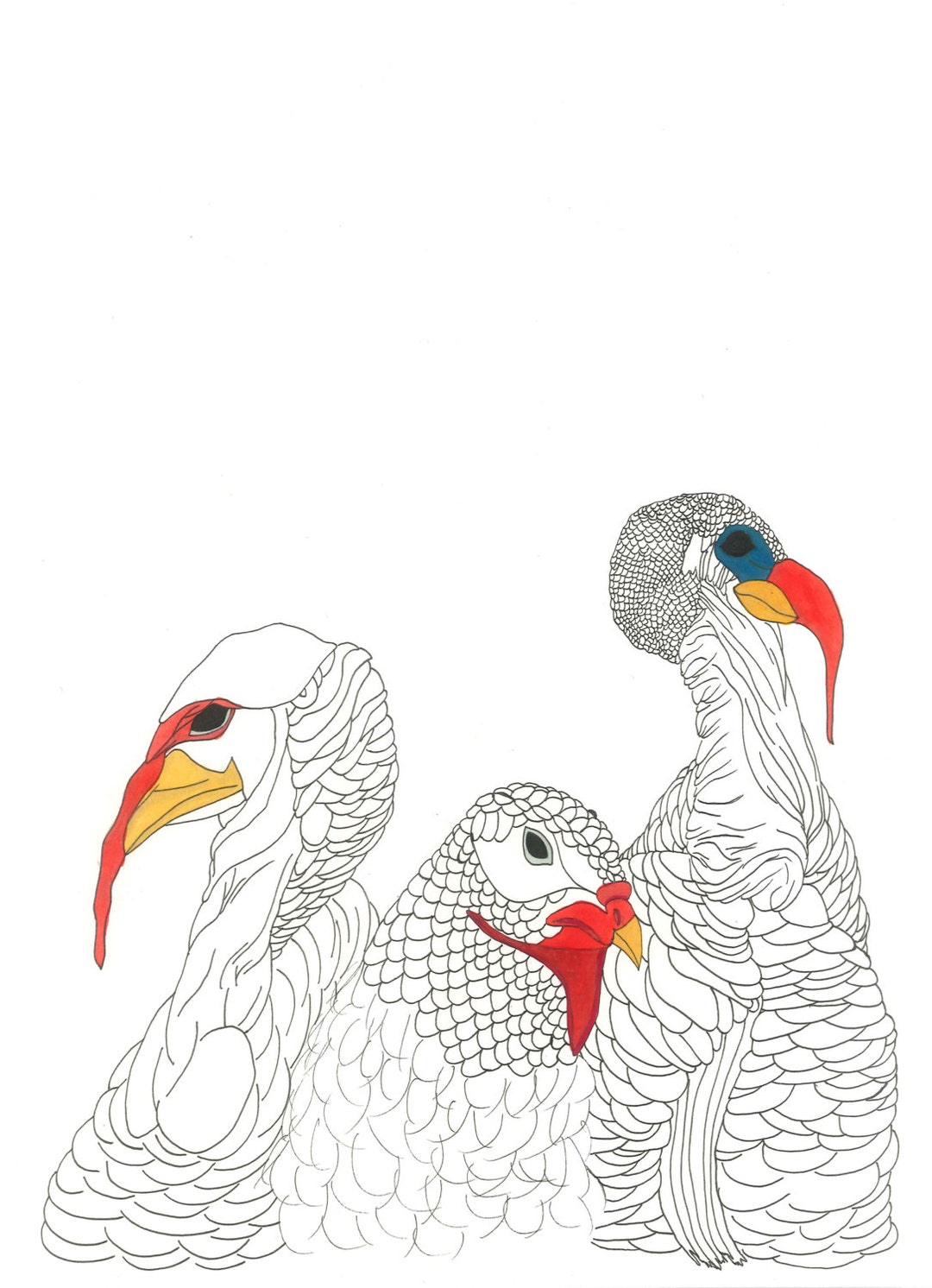 Turkey - Original Ink and Watercolor Drawing, Illustration - Etsy