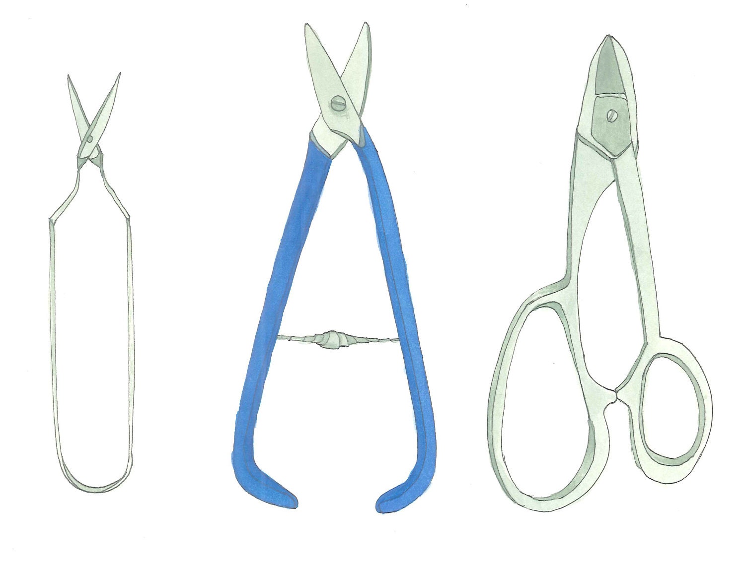 Snips - Original Ink and Watercolor Drawing, Painting, Illustration - Etsy