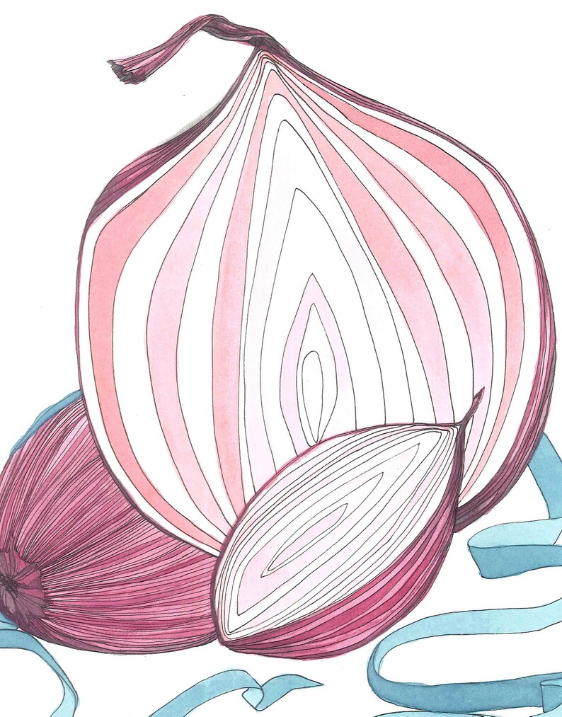 Red Onion - Original Ink and Watercolor Drawing, Painting, Illustration ...