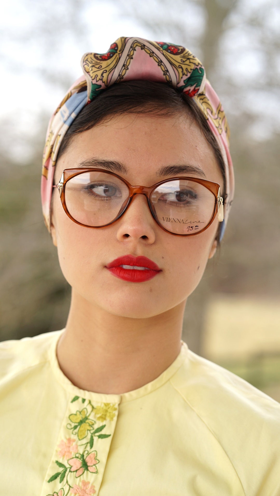 Vintage Eyeglasses 1970's Frames/eyeglass/hipster/retro by Vienna Line ...