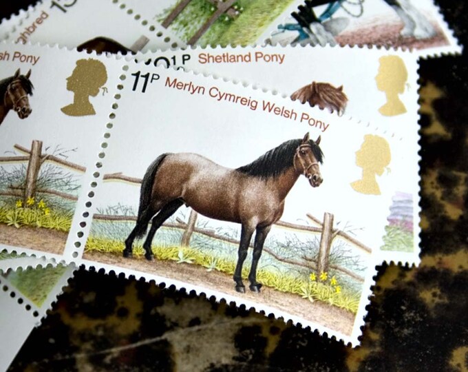 Famous Horse Breeds British Commemorative Mint Stamps Paper Ephemera - Etsy