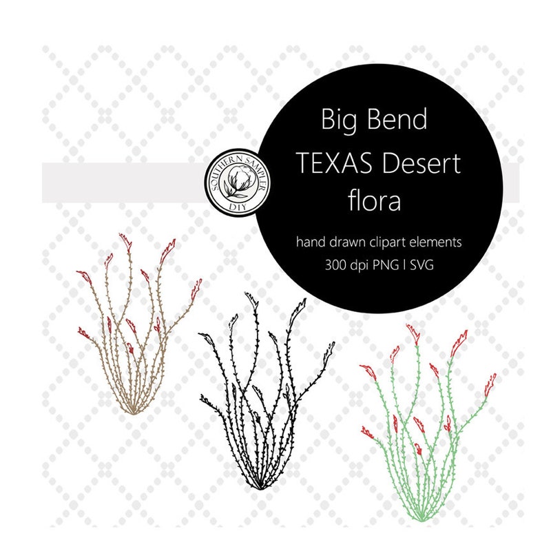 Cactus Art Big Bend - Etsy