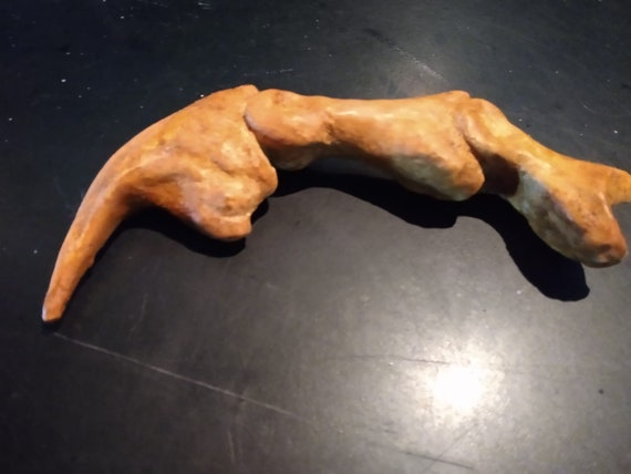 Allosaurus Finger Claw With Digital Bones | Etsy