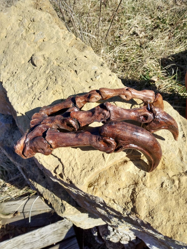 Allosaurus Hand - Claws and Finger Bones Fossil Dinosaur Jurassic - Etsy
