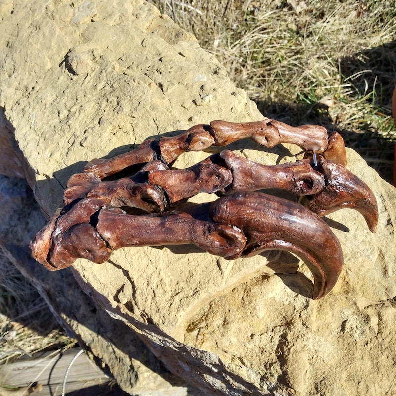 Real Dinosaur Claw - Etsy