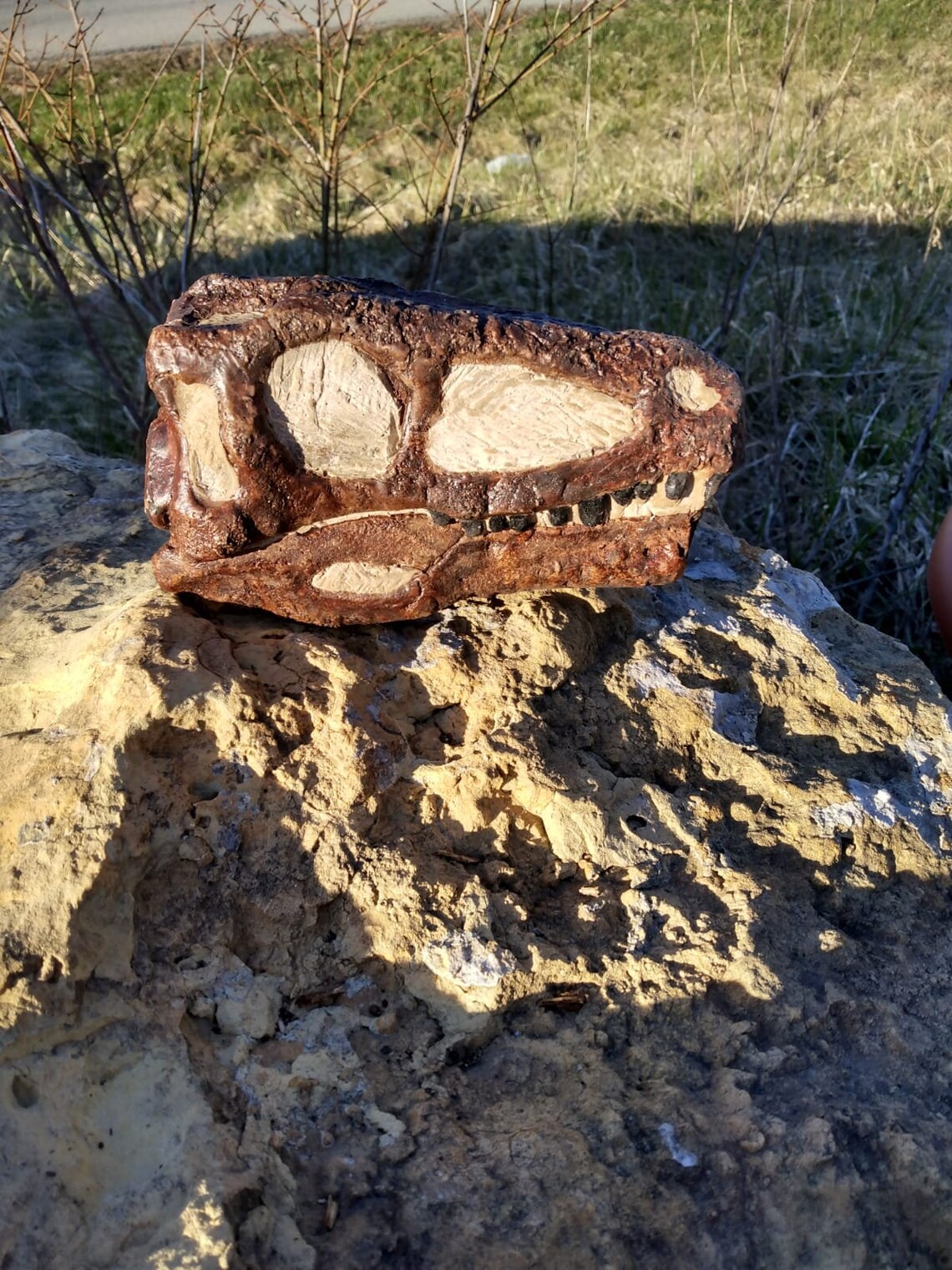Eoraptor Skull in Matrix Fossil Dinosaur Stone - Etsy