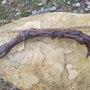 Allosaurus Hand and Arm Structure - Fossil Dinosaur Jurassic - Etsy