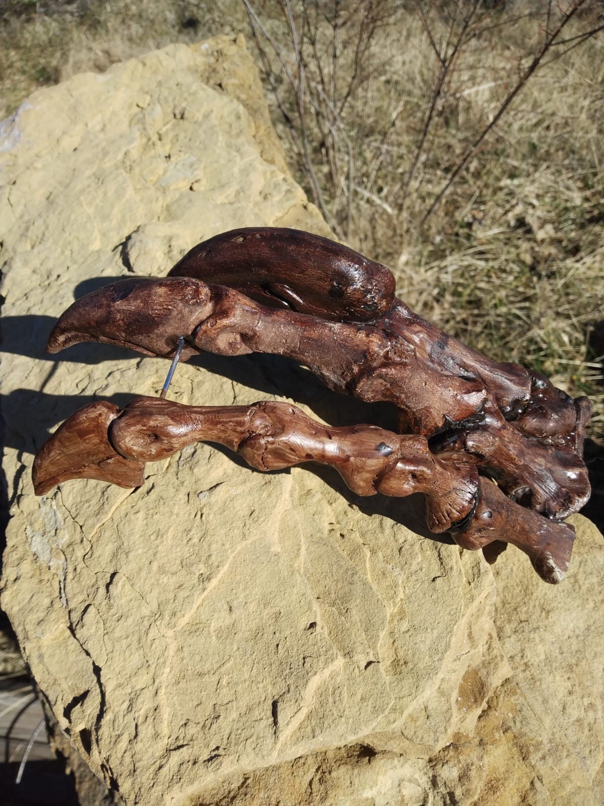 Allosaurus Hand - Claws and Finger Bones Fossil Dinosaur Jurassic - Etsy