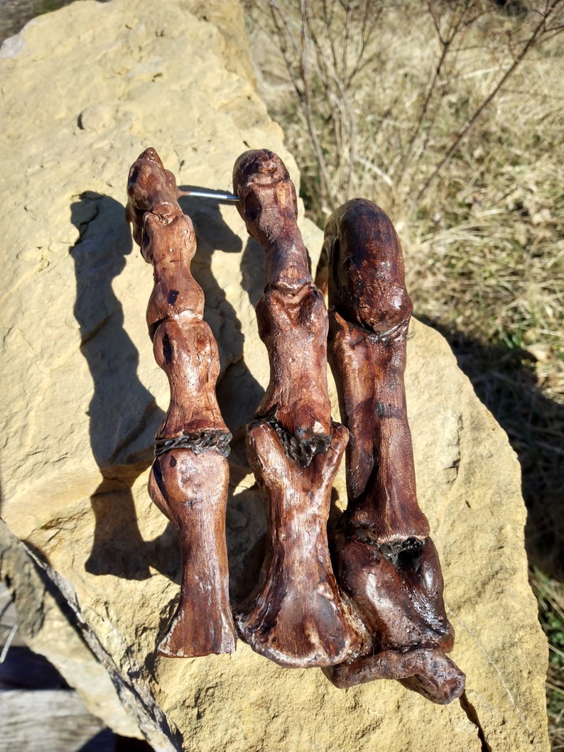 Allosaurus Hand - Claws and Finger Bones Fossil Dinosaur Jurassic - Etsy