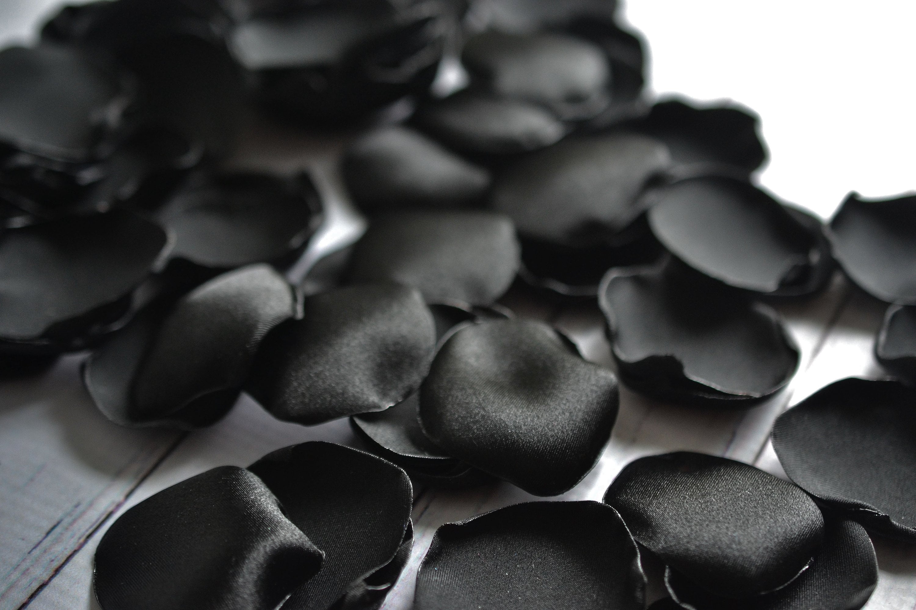 Black Rose Petals Falling