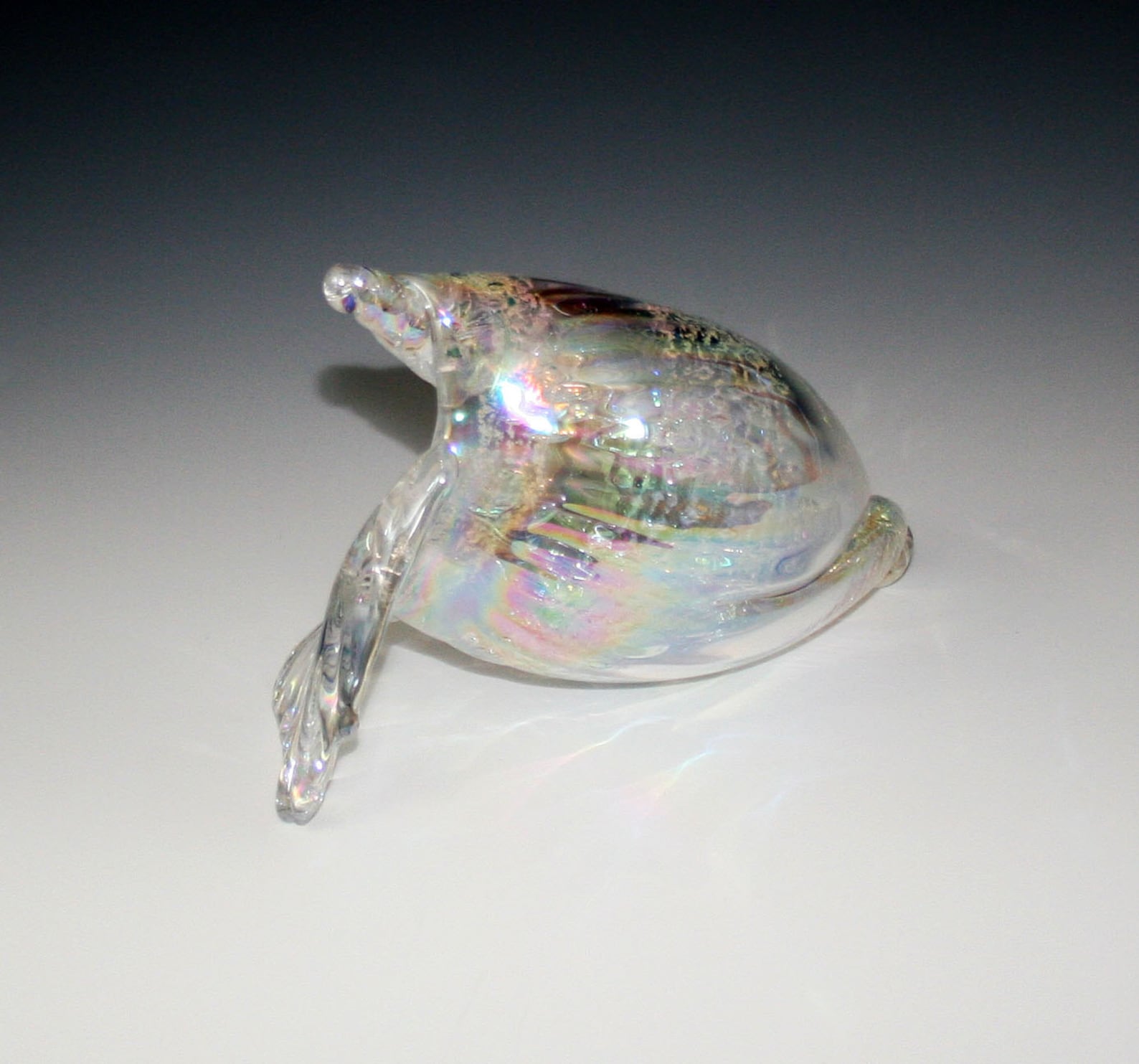 Memorial Glass Sea Shell Sculpture: Cremation Ashes Pet Keepsake - Etsy