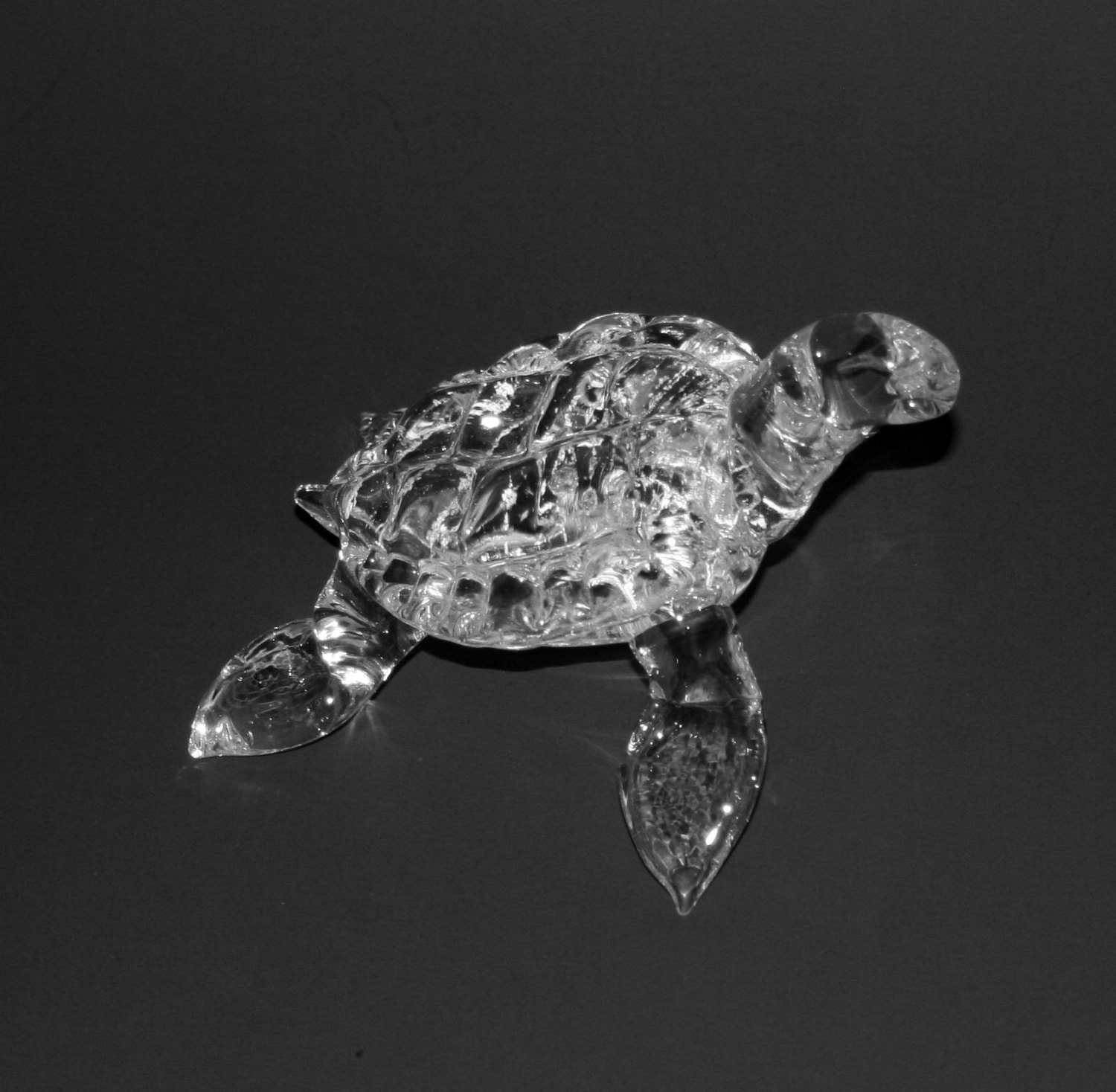 Memorial Glass Sea Turtle Cremation Ashes Pet Contact Us at | Etsy