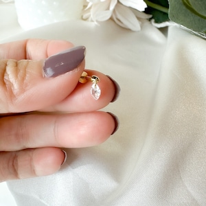 Hidden Rook Piercing 16g F136 Implant Grade Titanium Floating Marquise ...