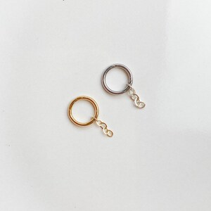 Designer Collection Rook 18g Stainless Steel Hoop, 18k Gold Filled ...