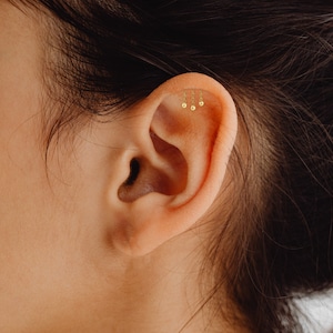 Hidden Helix Piercing 16g F136 Implant Grade Titanium Ball Tassel Flat ...