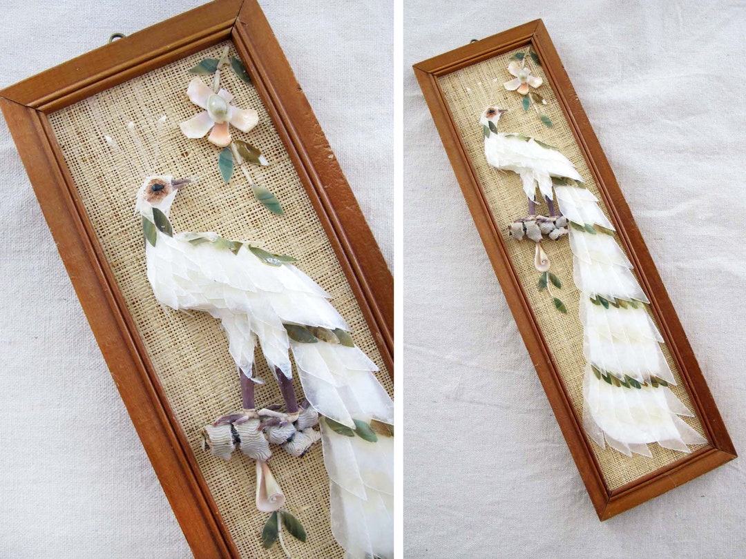 Mid Century Seashell Peacock Wall Art Vintage 1960s Shell - Etsy