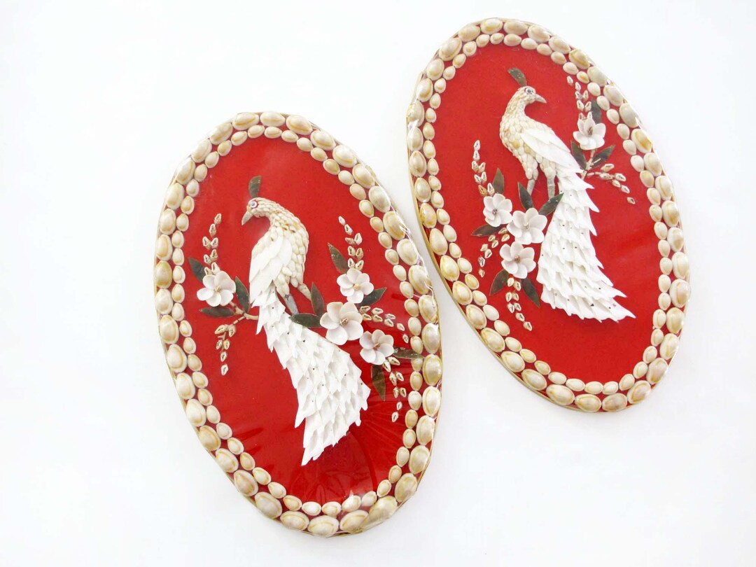 Mid Century Pair Seashell Peacock Wall Art - Vintage 1960s Oval Shell ...