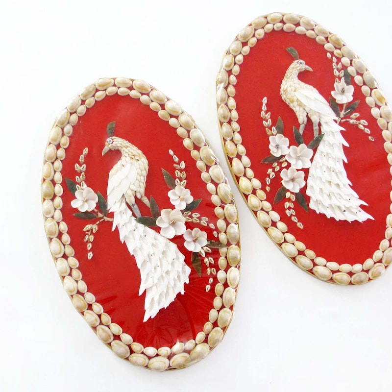 Peacock Shell Vintage - Etsy