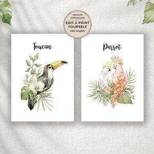 Editable Safari Animals Table Numbers, Safari Seating Cards, Jungle ...