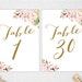 Floral Wedding Table Numbers 1-30 (instant Download) - Etsy