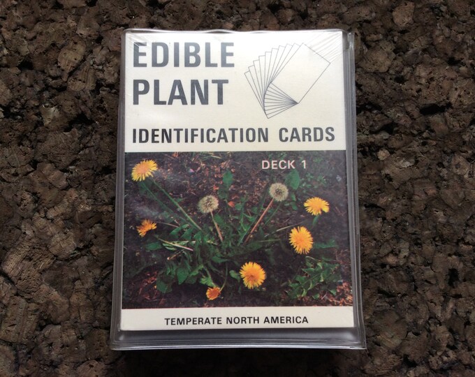 Vintage Edible Plant Identification Cards Deck 1 Temperate North ...