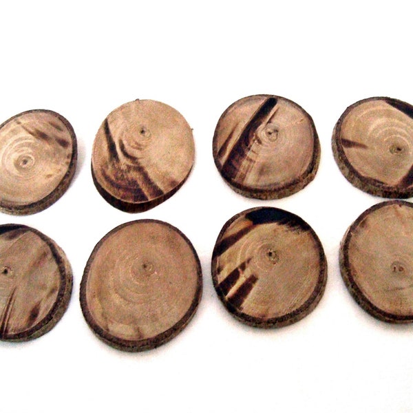 Tree Branch Slices - Etsy