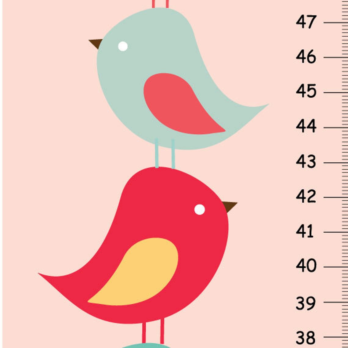 Birds Growth Chart Kids Nursery Wall Decor Baby Room Decor - Etsy