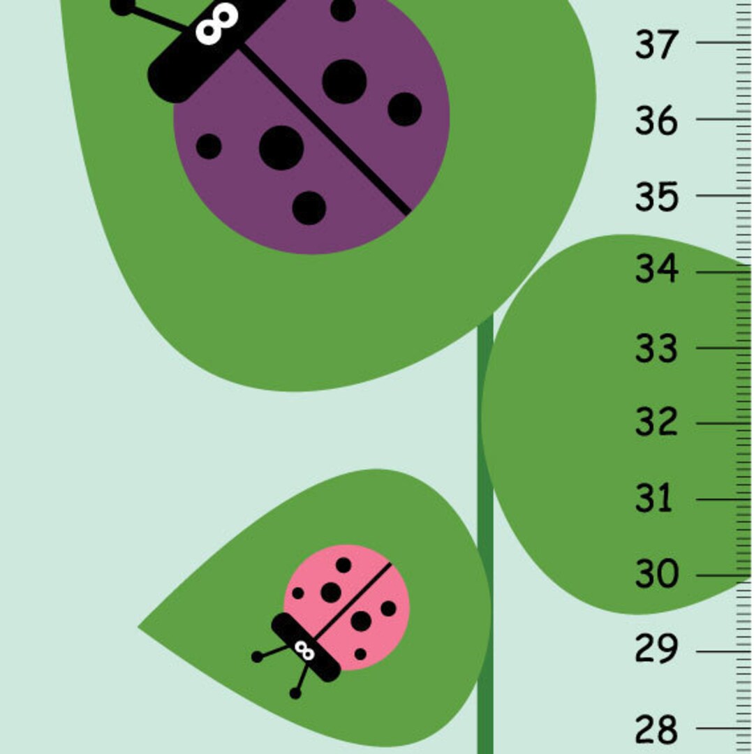 Ladybugs Canvas Growth Chart for Girls - Etsy