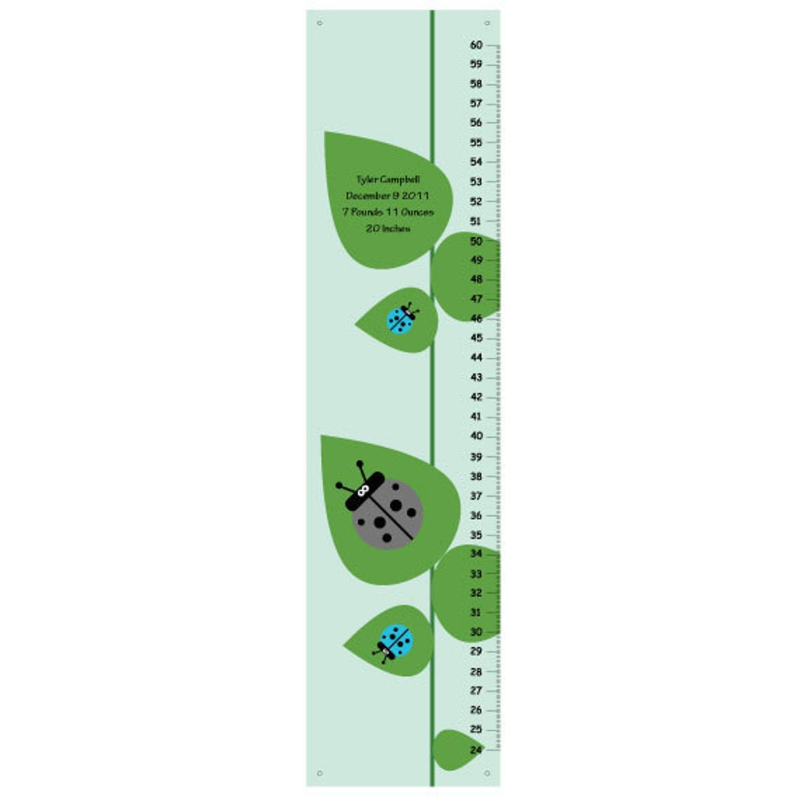 Ladybugs Canvas Growth Chart for Girls - Etsy