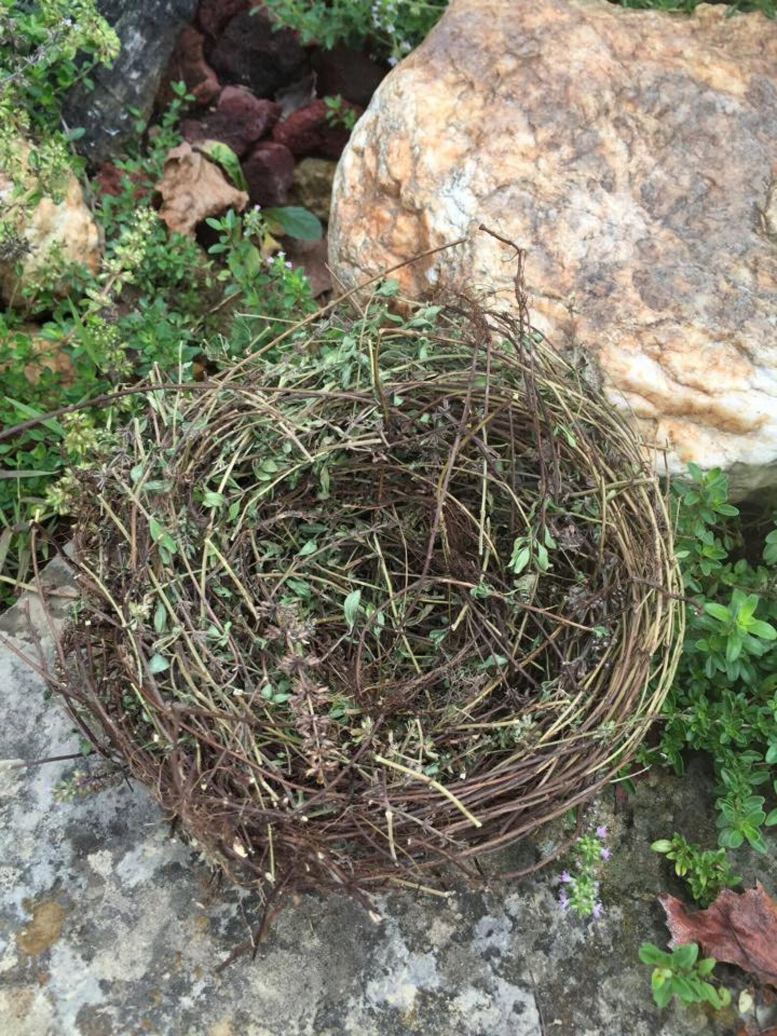 Natural Large Bird Nest / Home Garden Decor / Cottage Garden Decor ...