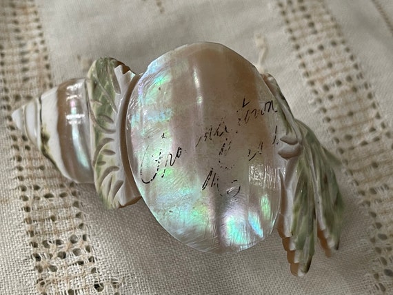 Victorian Polished Conch Shell Napkin Ring Souvenir of | Etsy