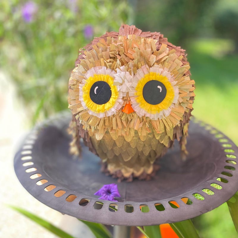 Bird Pinata - Etsy