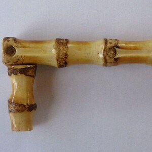 Bamboo Wood Drawer Pull Real Bamboo Root- Tropical Tiki Island Decor - Etsy