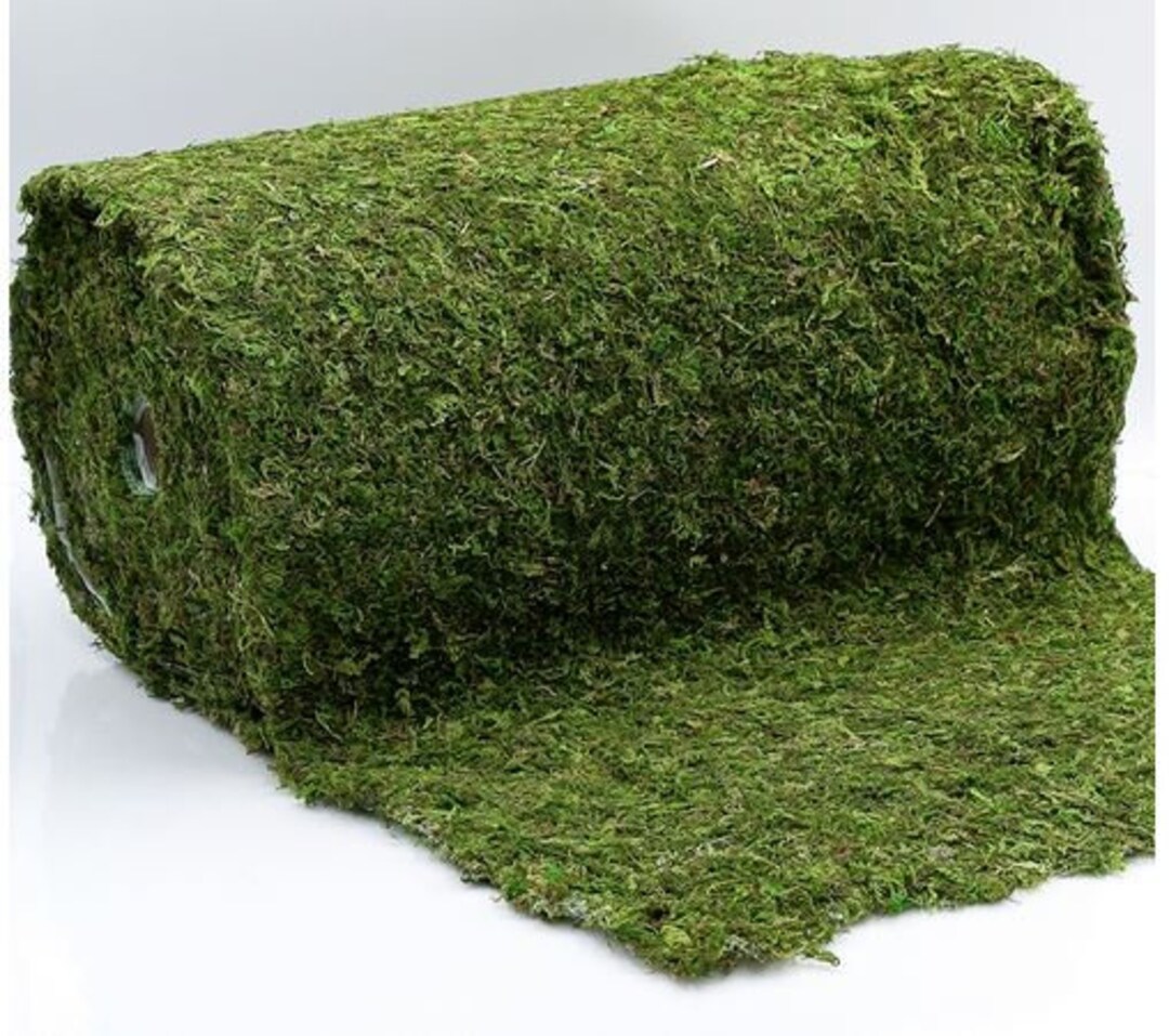 Natural Moss Sheets-18 Wide Choice of 4 Foot or 25 Foot Long - Etsy