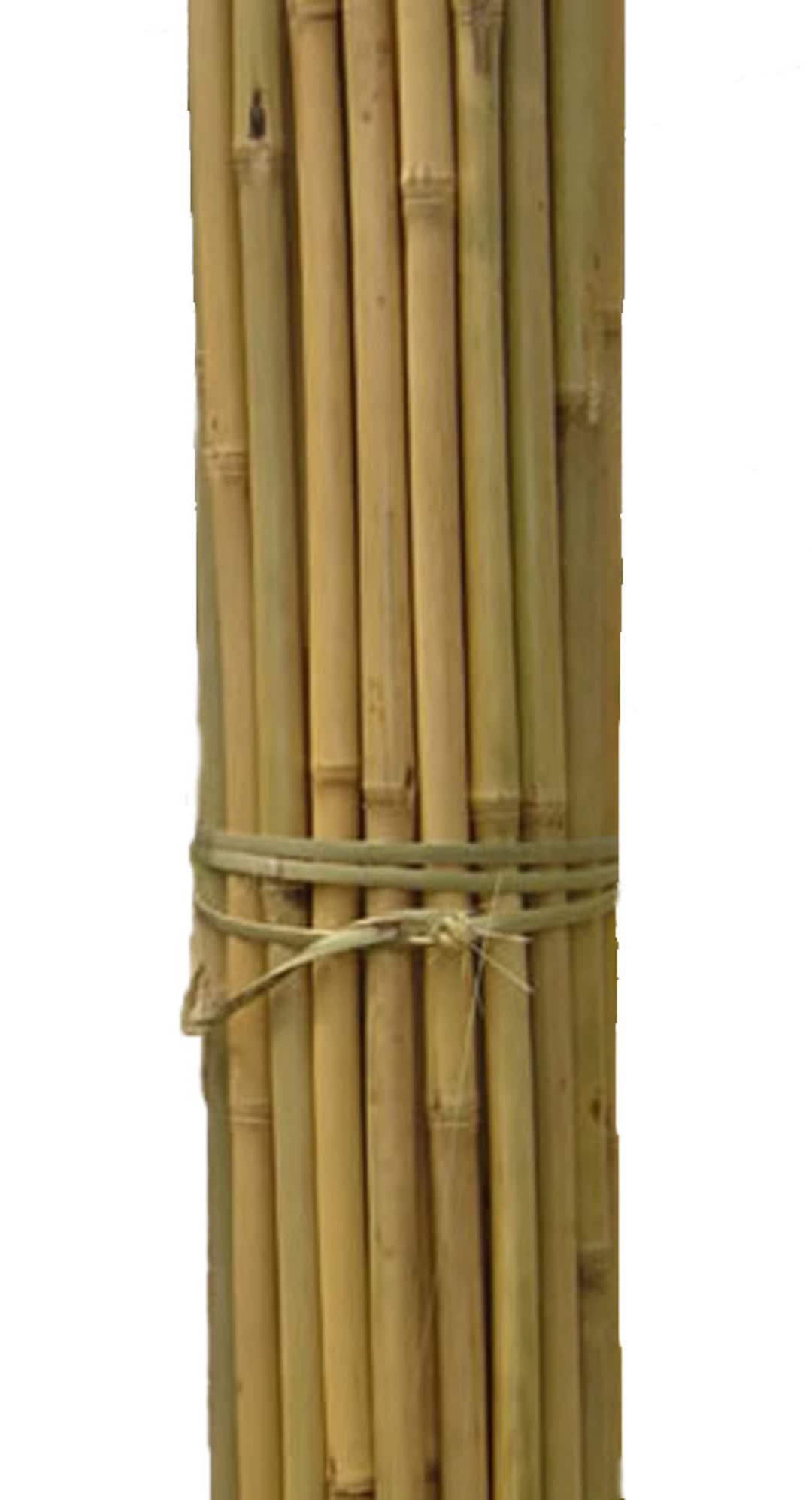 Bamboo Pole Large Bundles for Building - 1.75 to 2" Diameter X 6 Foot ...