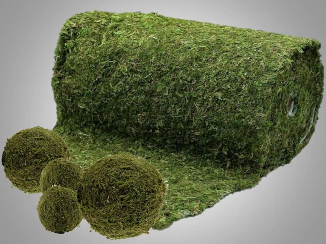 Natural Moss Sheets-18" Wide Choice of 4 Foot or 25 Foot Long - Etsy