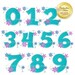 BX Snowflake Numbers Set Birthday Applique Machine Embroidery Design ...