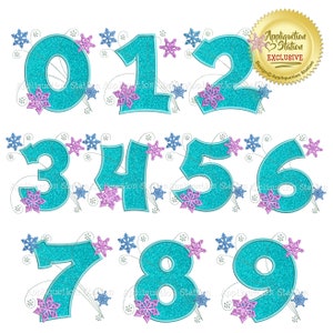 BX Snowflake Numbers Set Birthday Applique Machine Embroidery Design ...