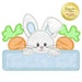 Easter Bunny Name Plate Boy Applique Machine Embroidery Design Happy ...