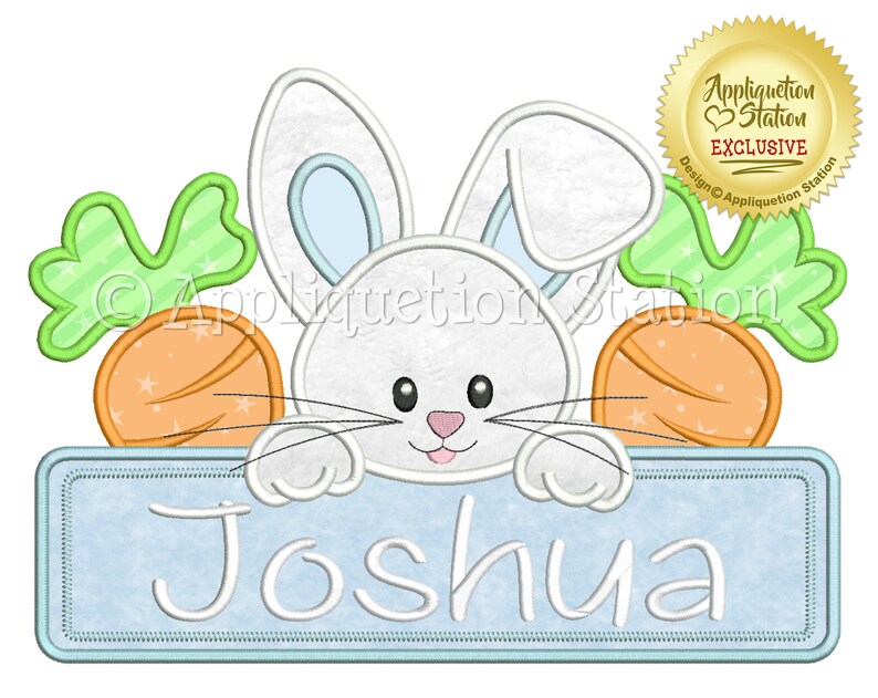 Easter Bunny Name Plate Boy Applique Machine Embroidery Design - Etsy