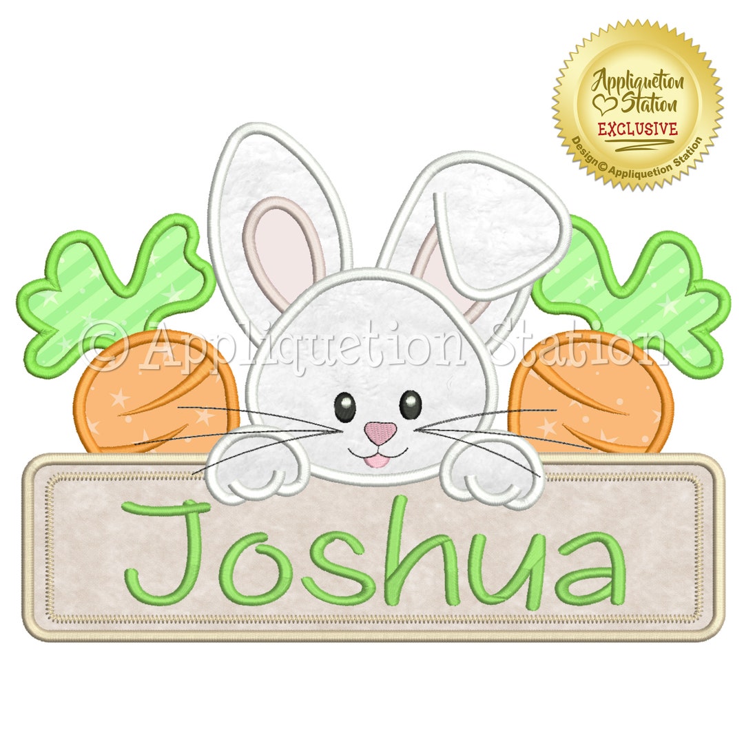 Easter Bunny Name Plate Boy Applique Machine Embroidery Design Happy ...