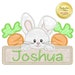 Easter Bunny Name Plate Boy Applique Machine Embroidery Design Happy ...