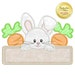 Bunny Name Plate Boy Applique Machine Embroidery Design Easter Happy ...